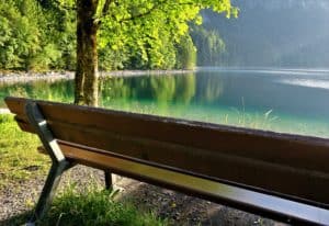 5 Best Large Sensor Premium Compact Cameras 2025 (Reviews)