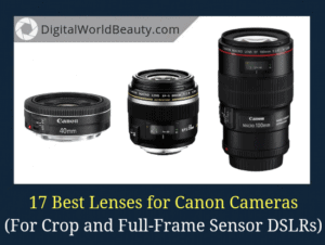 17 Best Lenses for Canon in 2021 (APS-C and Full-Frame DSLRs)
