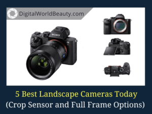 5 Best Cameras for Landscape Photography 2025 (With Lenses)