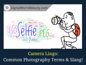 Camera Lingo: Basic Photography Terms for Beginners + Slang!