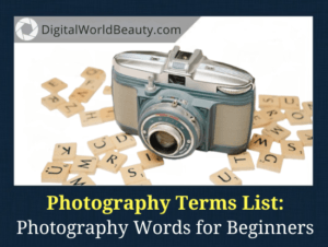 Photography Terms List: 25 Photography Words (For Beginners)
